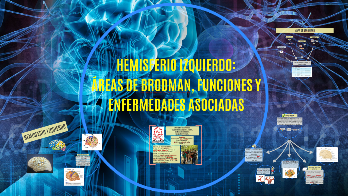 ÁREAS DE BRODMAN, FUNCIONES Y ENFERMEDADES ASOCIADAS by Krissia Salvador on Prezi