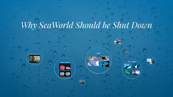 Why SeaWorld Should Be Shut Down by Shae VanCleave on Prezi
