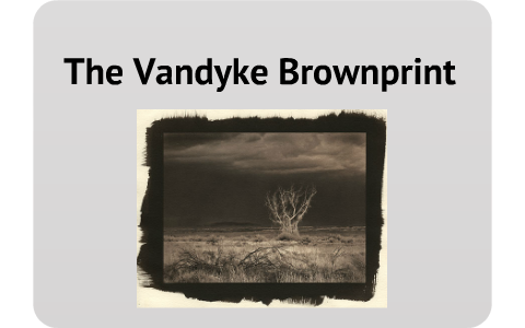 The Vandyke Brownprint by Morgan Prouty
