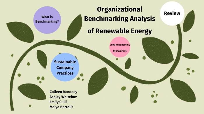 Organizational Benchmarking Analysis by Colleen Moroney on Prezi