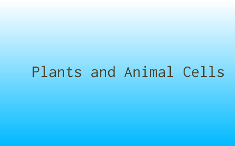 Plant and Animal Cells by nathan feiertag on Prezi