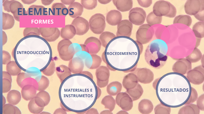 Elementos formes by Raquel Fernandez on Prezi
