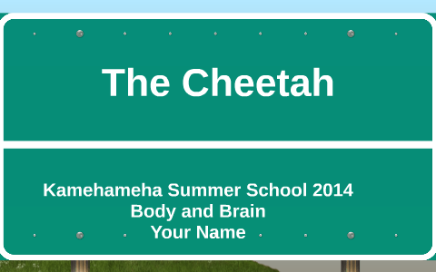 The Cheetah by body and brain on Prezi