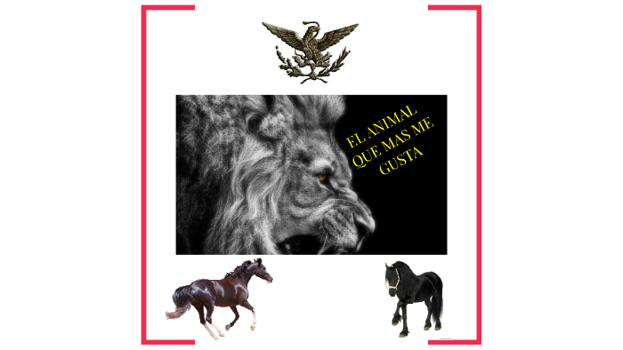 EL ANIMAL QUE MAS ME GUSTA by JOSE PEDRO ORTIZ LOPEZ on Prezi