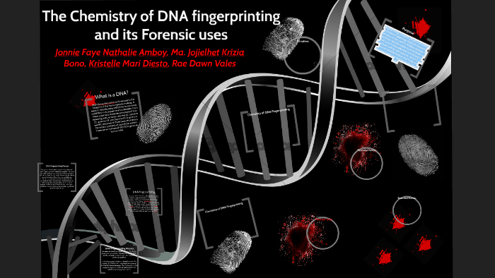 The Chemistry of DNA Fingerprinting and its Forensic Uses by Kristelle ...