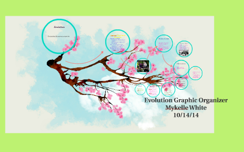 Evolution Graphic Organizer by Mykelle White on Prezi