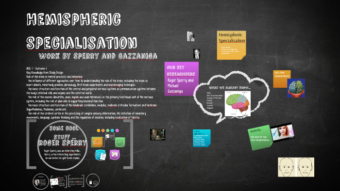 Hemispheric Specialisation By Sarah Mackenzie On Prezi