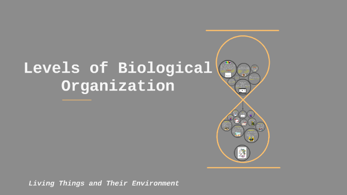 Levels of Biological Organization by Noel Que on Prezi