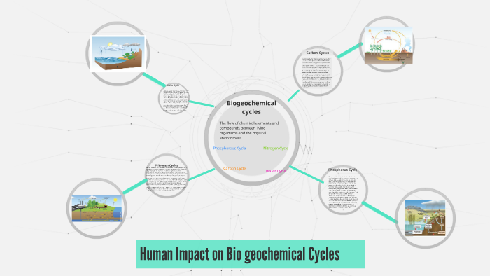 Human Impact on Biogeochemical Cycles by Paola Rodriguez on Prezi
