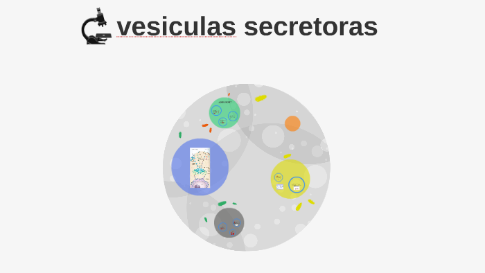 vesiculas secretoras by jose valdez gonzalez on Prezi