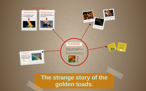 The golden toads by Kangura Pérez on Prezi