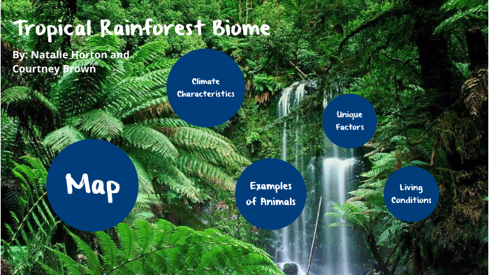 Courtney and Natalie Environmental Science Biome Project by Natalie ...