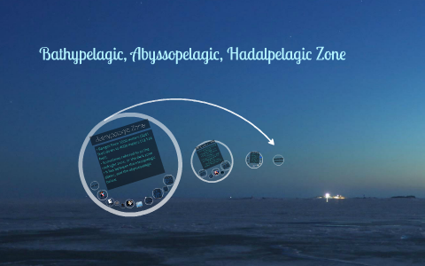 Bathypelagic, Abyssopelagic, Hadalpelagic Zone by Patricia Ouano on Prezi
