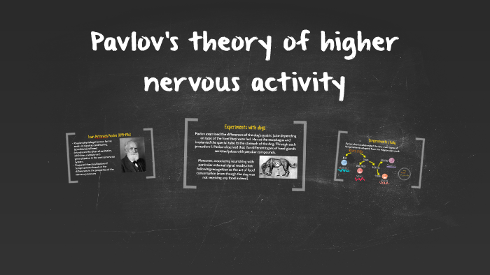 Pavlov's theory of higher nervous activity by Diana Assembekova on Prezi