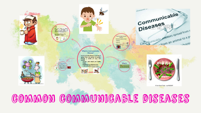 common communicable diseases by Arianne Lao on Prezi