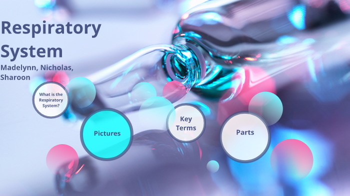 Respiratory System by Whitney Schultz on Prezi