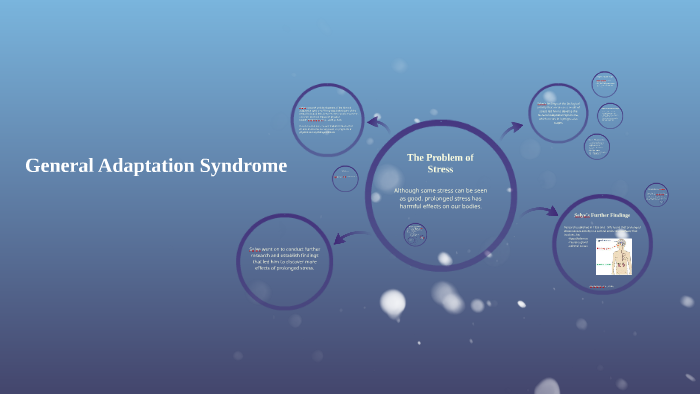 General Adaptation Syndrome by Kassie Van Alst on Prezi