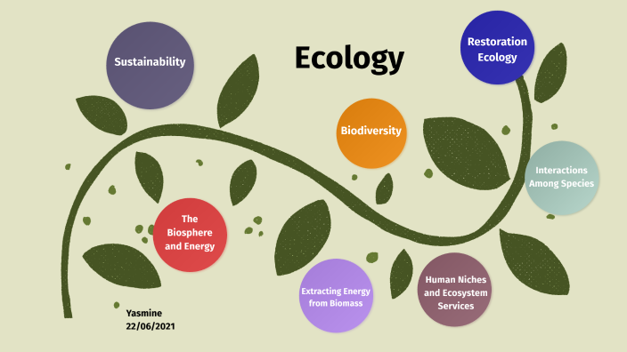 Ecology mind map by Yasmine Bendame on Prezi