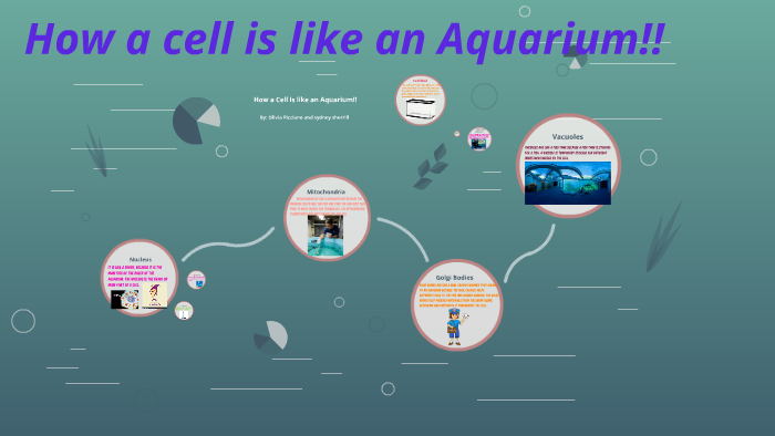 How a cell is like an Aquarium!! by Olivia Picciano on Prezi