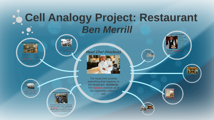 Cell Analogy Project: Restaurant by on Prezi