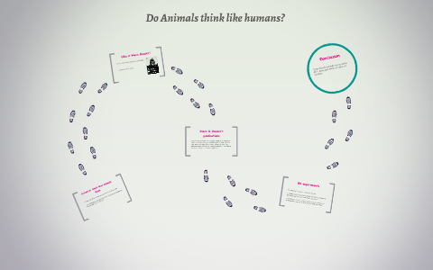 Do Animals think like humans? by SHI ZHANG on Prezi
