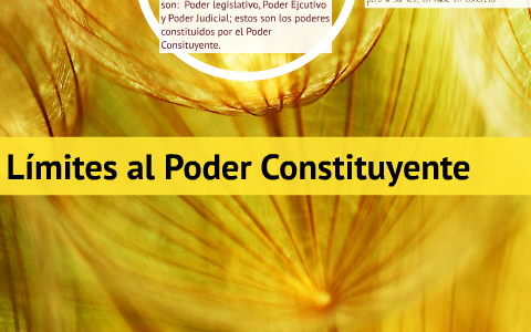 Límites al Poder Constituyente by pafajom farrington on Prezi