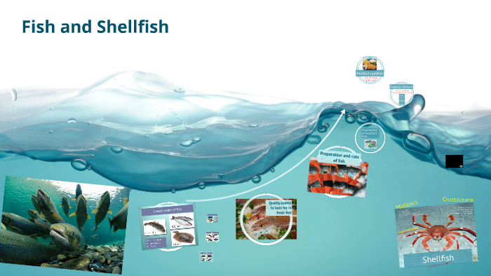 Prepare and cook fish and shellfish by Andy Backshall on Prezi