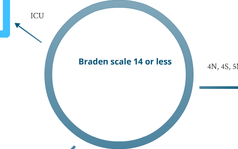 Pressure Ulcer Prevention Algorithm by Deborah Zaricor on Prezi