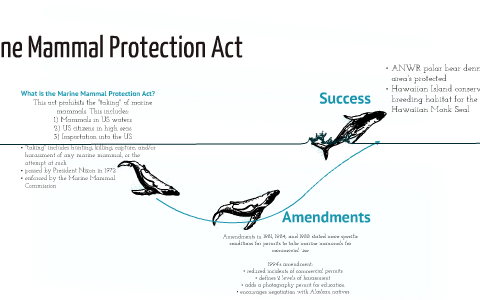Marine Mammal Protection Act by Chassy Peppers on Prezi