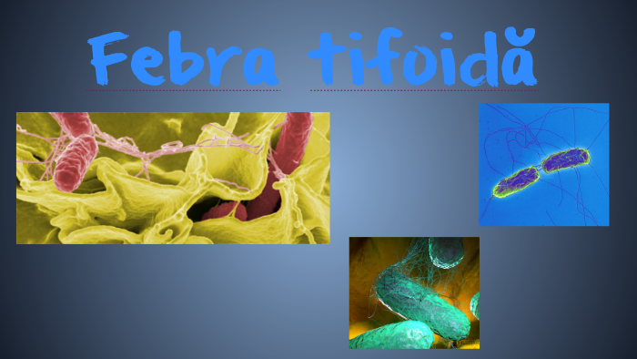Febra tifoidă by Doina Gurau on Prezi