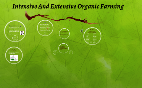 Extensive Farming Vs Intensive Farming
