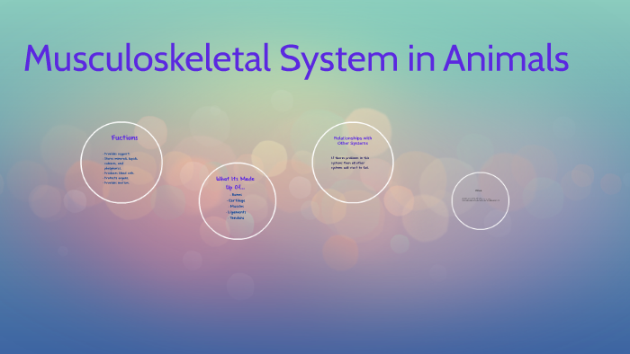 Musculoskeletal System in Animals by Jordan Cornwell on Prezi