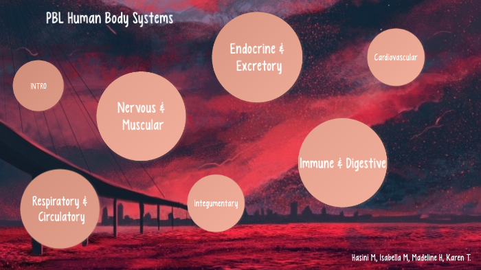 PBL Body Systems by Hasini Maddipati on Prezi