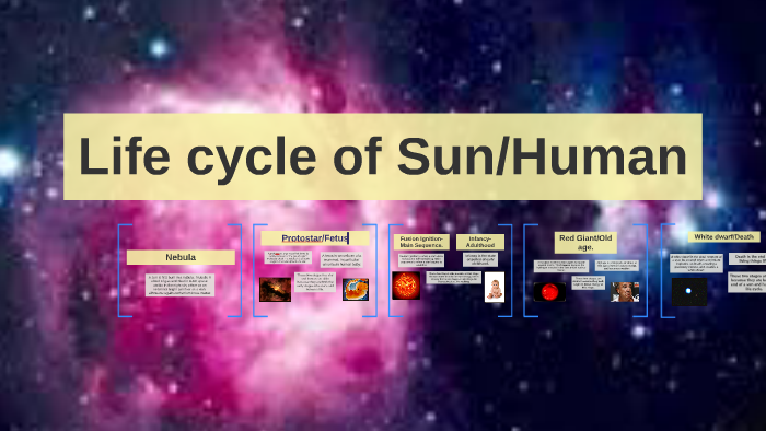 Life cycle of Sun/Human by Ryan Todd on Prezi