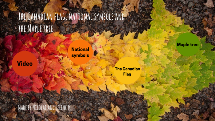 The Canadian flag, national symbols and the Maple tree by Helene MN on ...