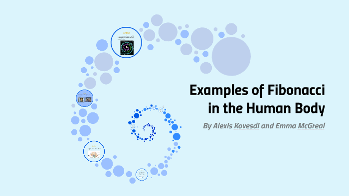 Fibonacci in the Human Body by Andrea McGreal on Prezi