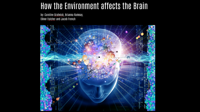 How the Environment affects the Brain by Caroline Gratwick on Prezi