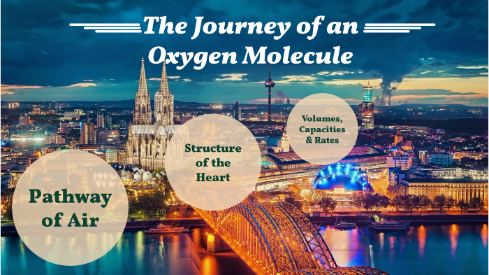 The Journey of an Oxygen Molecule by Nathan Stacey on Prezi