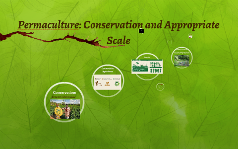 Permaculture: Conservation and Appropriate Scale by danielle freund on ...