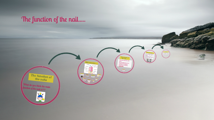 The function of the nail..... by becky kefford on Prezi
