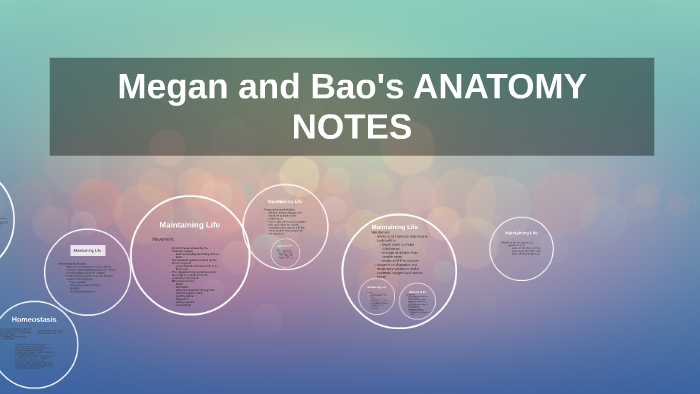 Megan and Bao's ANATOMY NOTES by megan lesperance on Prezi
