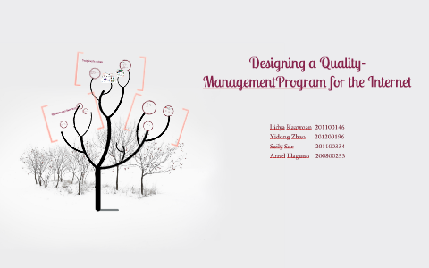 Designing a Quality-Management Program for the Internet by Yidong Zhao ...