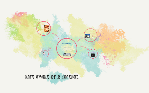 Life Cycle of a check! by Lauryn Thompson on Prezi