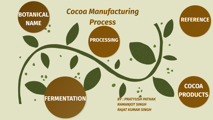 Cocoa Manufacturing Process by Pratyush Pathak on Prezi