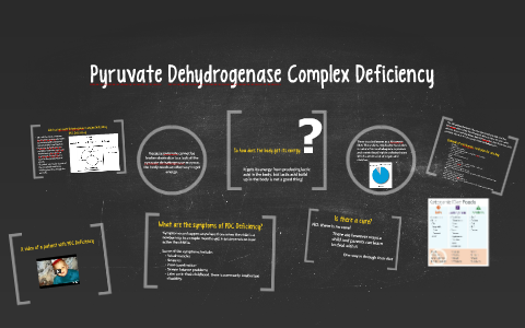 Pyruvate Dehydrogenase Complex Deficiency by Laura Harris on Prezi