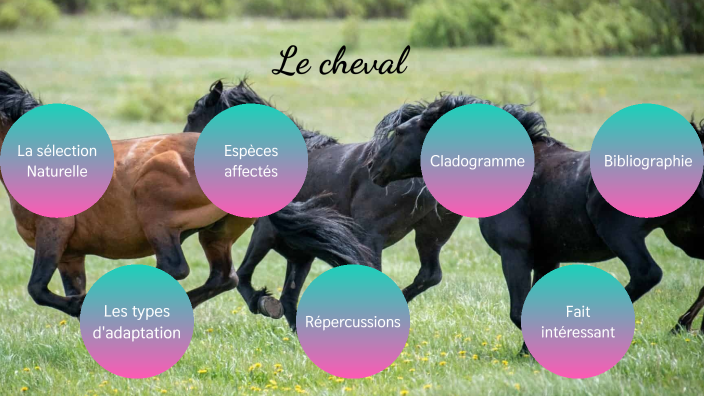 Projet évolution du cheval - Noémie Fortin by Noémie Fortin on Prezi