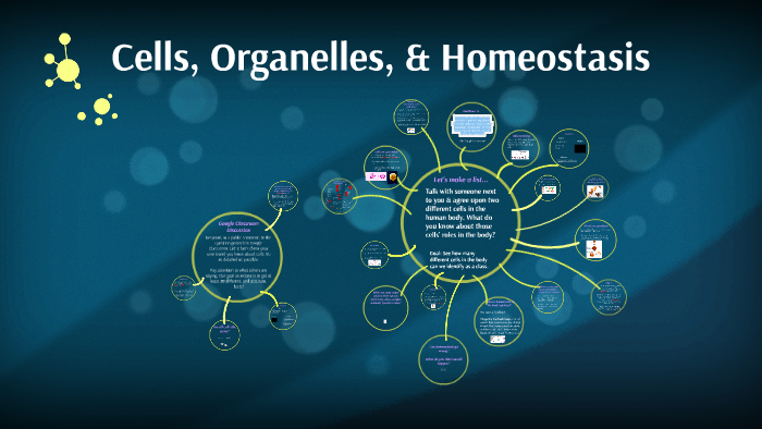 Cells, Organelles, and Homeostasis by Kylie Wilson on Prezi