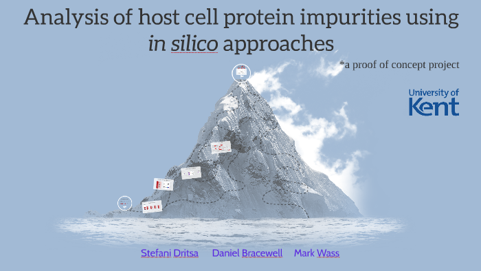 Analysis of host cell protein impurities using in silico app by Stefani ...