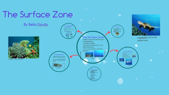 The Surface Zone by Bella Davila on Prezi