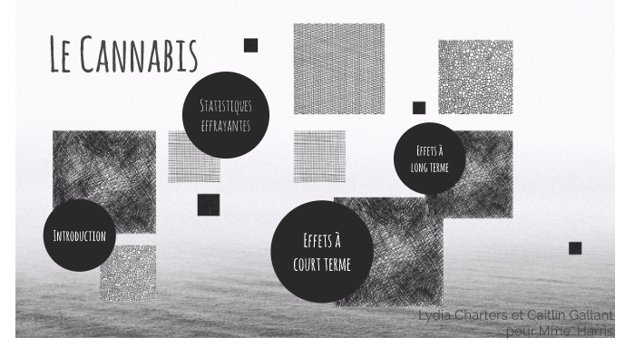 Le Cannabis by Lydia charters on Prezi